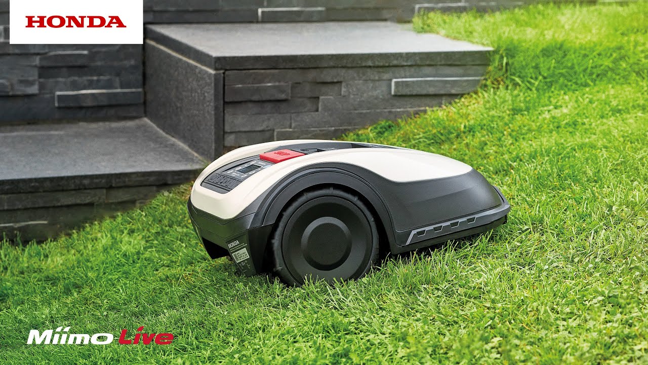 Miimo HRM70 Live | Robot Maniak