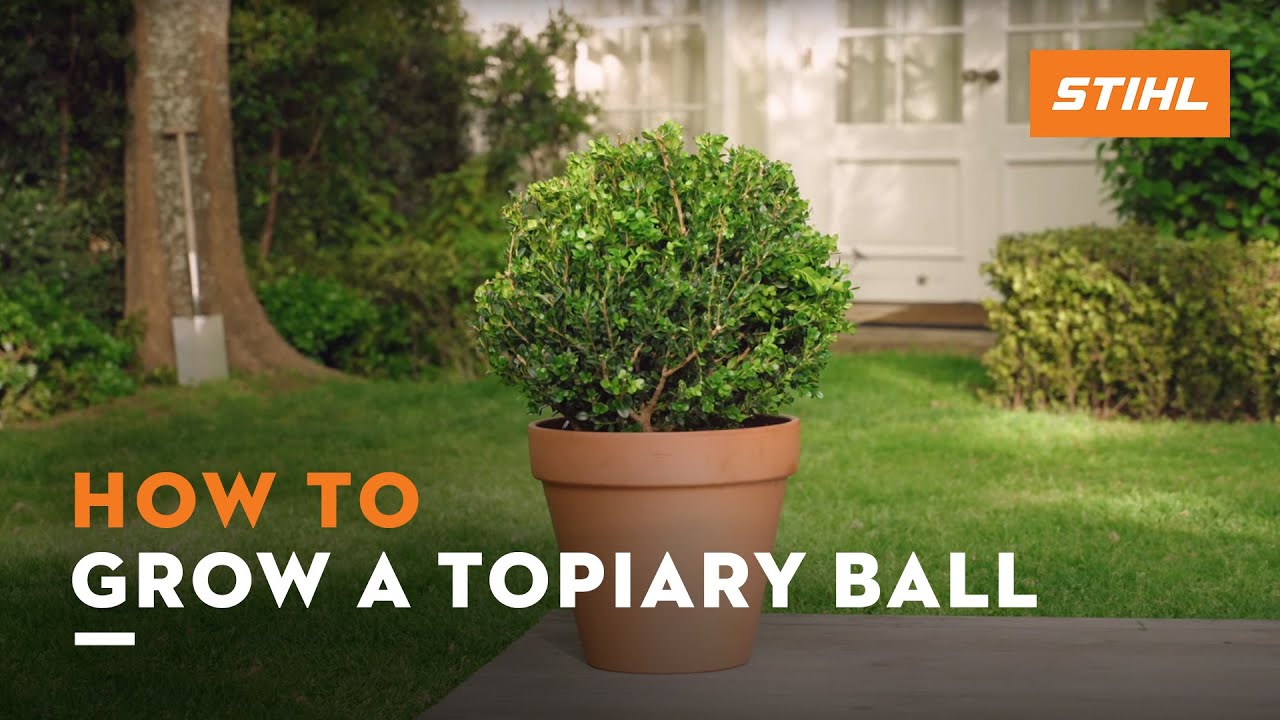 How to cut a topiary ball | STIHL Tutorial | Robot Maniak